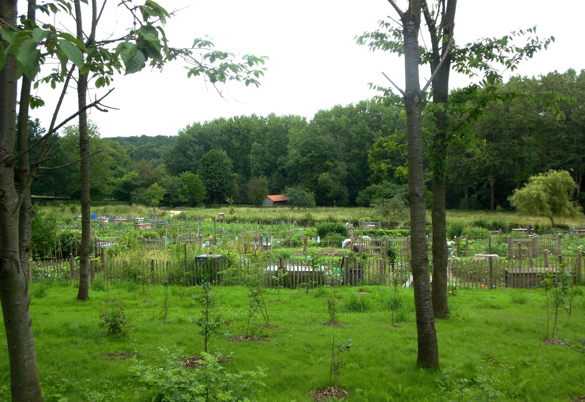 Delta Herrmann-Debroux | perspective.brussels