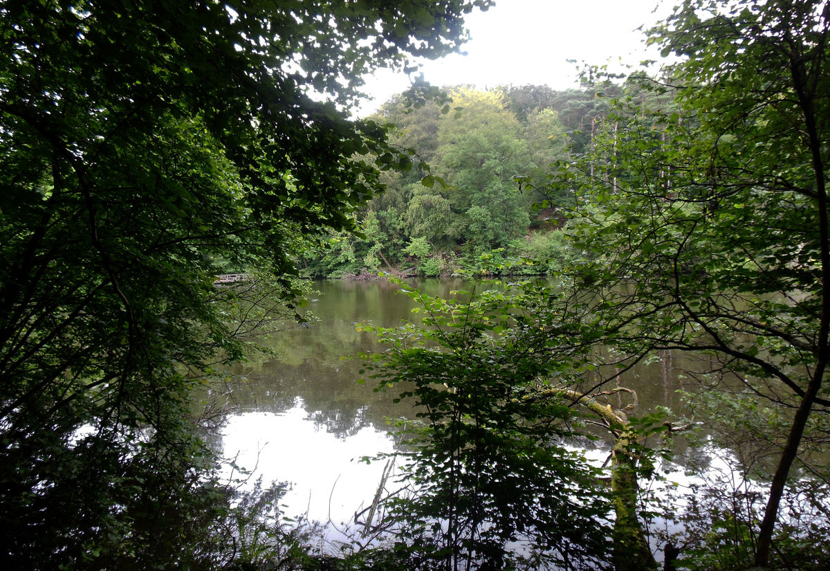 Delta Herrmann-Debroux | perspective.brussels